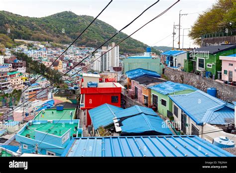 Scenic Landscape Of Gamcheon Culture Village Colorful And Artistic
