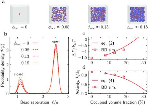 Effect Of Crowding On The Enzymes Conformation And Activity A