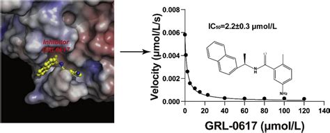 Crystal Structure Of Sars Cov 2 Papain Like Protease Science Codex