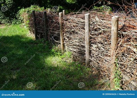 The Dead Hedge Is Located In The Vicinity Of The Wuhle River In The