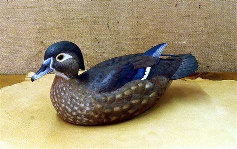 Hen Wood Duck Decoy