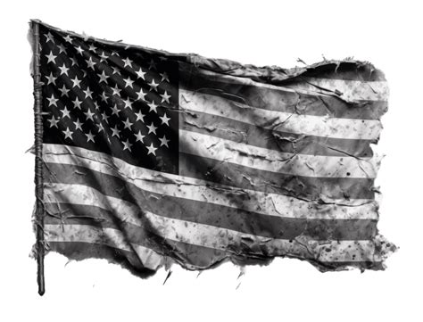 Black And White American Flag Pngs For Free Download