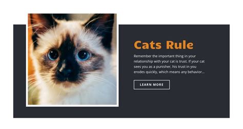 rules and guidance css template by nicepage