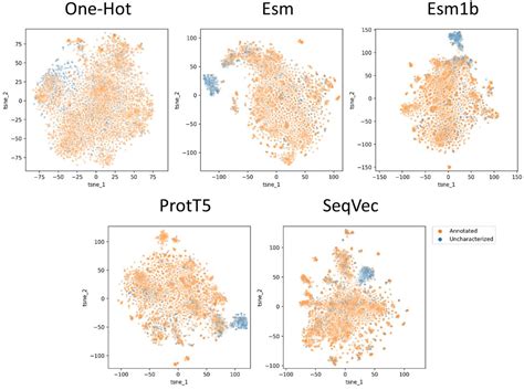 Survey Of Protein Sequence Embedding Models