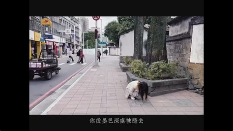 20327張馨方歷史探究mv《青花瓷》 Youtube