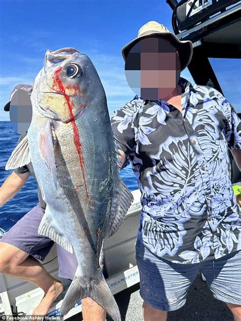 Woman Who Was Allegedly Filmed Performing A Sex Act With A Live Brown