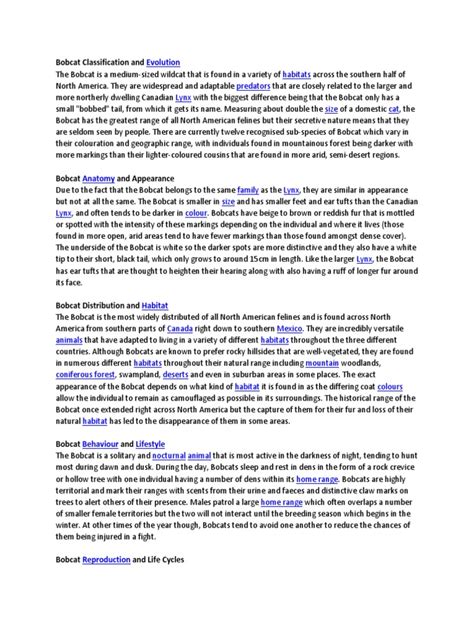 Bobcat Classification And Evolution Pdf Lynx Predation