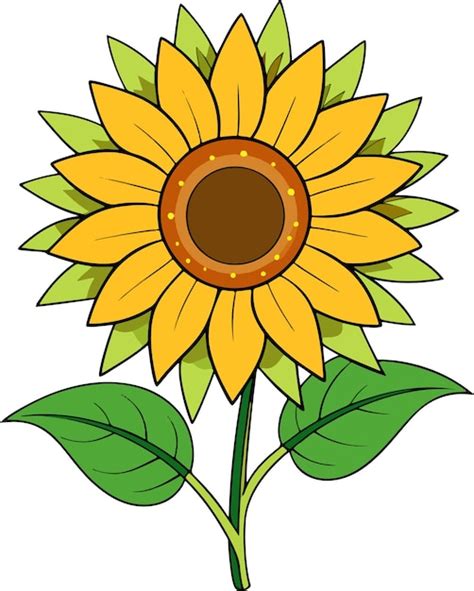 Girassol Vetor Premium