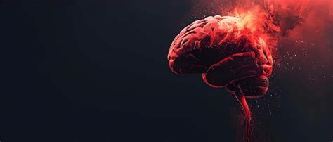 Comprendre Le Tbi Une Lésion Cérébrale Résultant Dune Force Externe Et