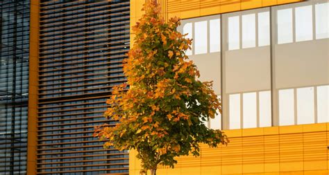 Corporate Sustainability Reporting Directive Csrd Implementation