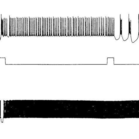Mode Switches Between Tonic Firing And Oscillatory Action A Model