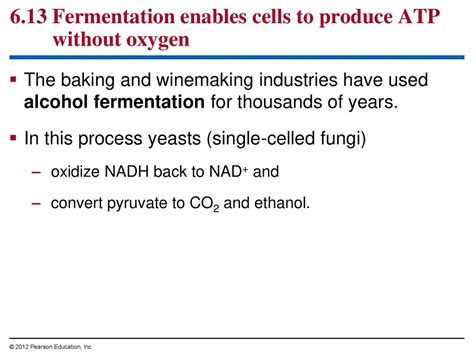 How Cells Harvest Chemical Energy Ppt Download