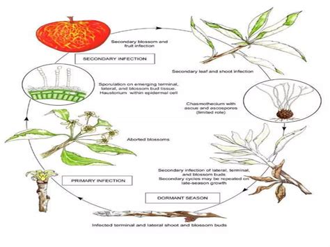 Types Of Epidemiology Pptx