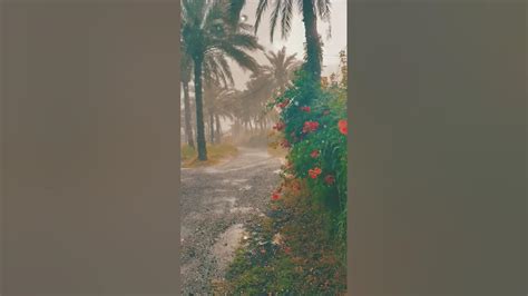 شاهد جمال الريف وبساتين الحلة للمونتاج بدون حقوق حالات واتساب باسمالكربلائي Youtube