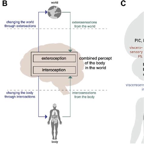 A Example Of One Possible Form Of A General Inference Control Loop