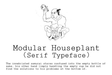 Modular Serif Monospace Font Siteoutsite Modular Serif Monospace Font Siteoutsite