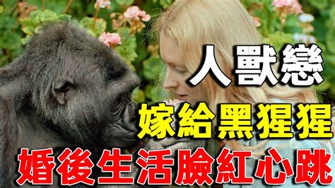 28歲美女嫁給黑猩猩，婚後生活讓人臉紅心跳！人真的可以和黑猩猩生活嗎？黑猩猩明星觀察員 Youtube