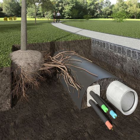 Root Protection And Guidance Greenmax Green Solutions