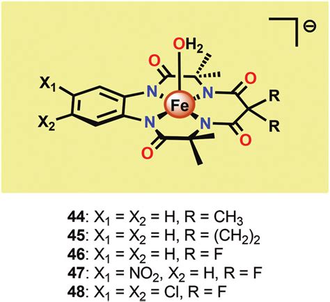 Structure Of Fe Iii Taml Complexes 44 48 Download Scientific Diagram