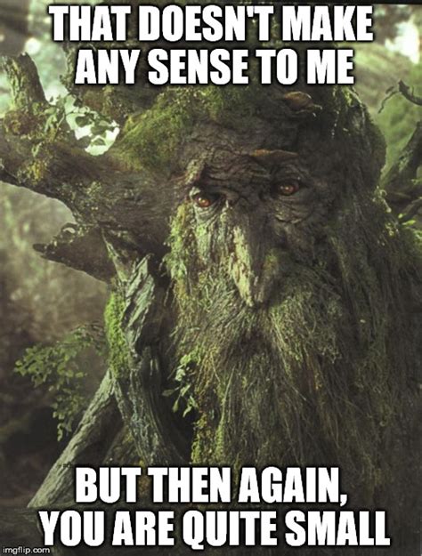 Tree Beard Memes Imgflip