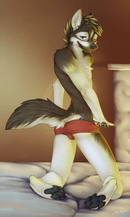 Gay Furry Tumbex