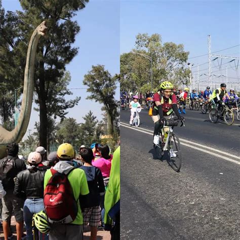 John M Ackerman Amenazó Con Demandar A Loret De Mola Por La