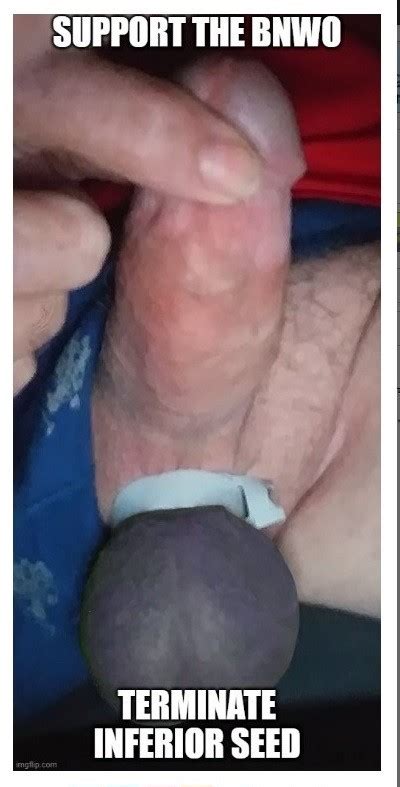 Terryfying And Beautiful Hornyness