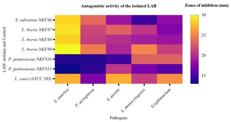 In Vitro Characterization And Safety Assessment Of Streptococcus