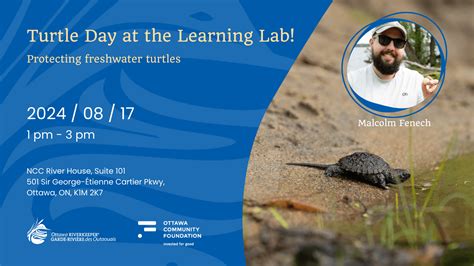 Saturday At The Learning Lab Turtle Day August 17th 2024 Ottawa