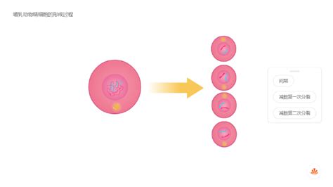 火花学院科学可视化教学内容与工具库