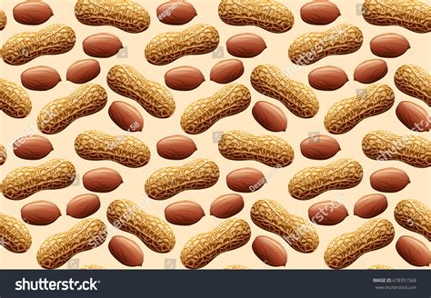 Peanut Seamless Texture Stock Vector Royalty Free 678351568