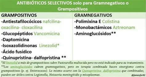 Antibióticos Gram Y Antibioticos Tratamientos