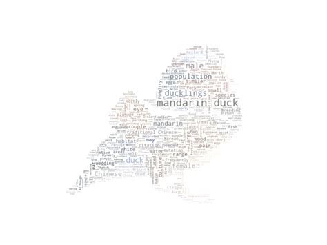 【python】wordcloudで画像に合わせてカスタムスタイルでワードクラウド作成 Techbrowse