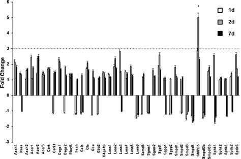 Sphingolipid Metabolizing Enzyme Gene Expression After Tbi Brain Download Scientific Diagram