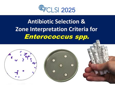 Clsi 2025 Antibiotic Selection And Zone Interpretation Criteria For Enterococcus Spp