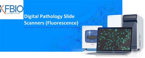 Novelsis Technology Solutions