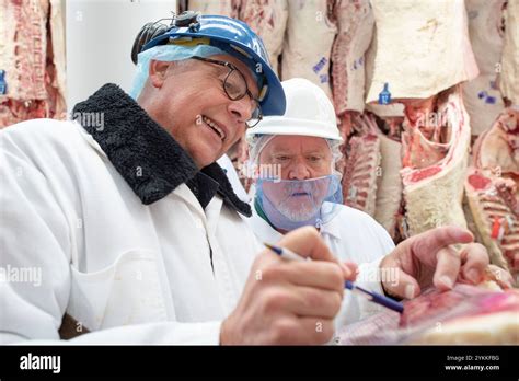 Usda Agricultural Meat Inspectors Inspect And Grade Beef At A
