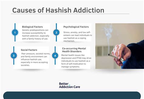 Hashish Addiction Definition Causes Symptoms Effects And Treatment