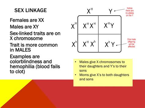 Ppt You Asked For It Powerpoint Presentation Free Download Id