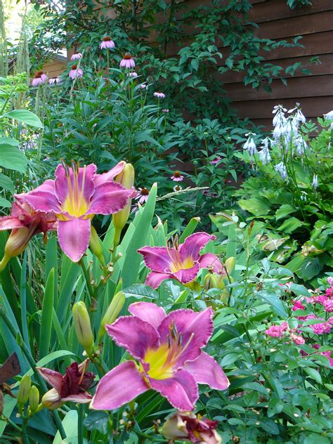 Real Flower Garden Background