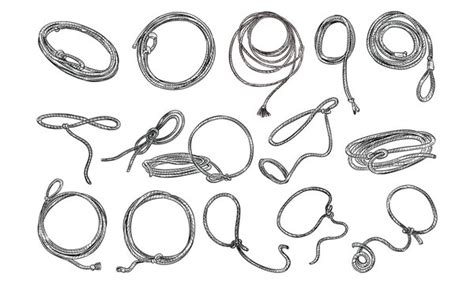 Lasso Clip Art