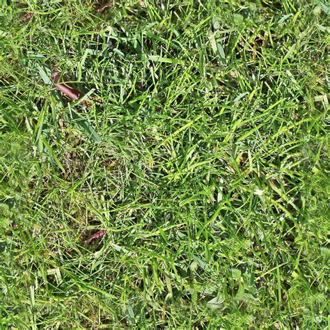 Photo Realistic Seamless Grass Texture In Hires With More Than 6