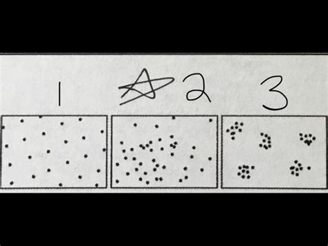 Measuring Populations Flashcards Quizlet