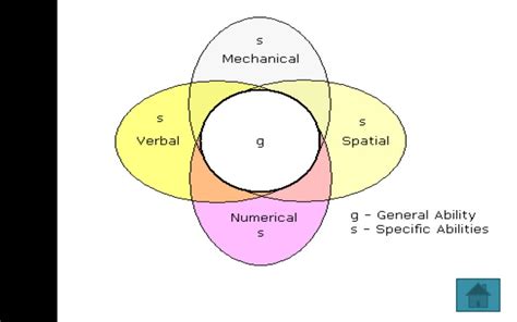 Intelligence Quotient
