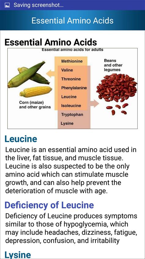 Foods High In Amino Acids And Protein Rich Diet Help Apk For Android Download