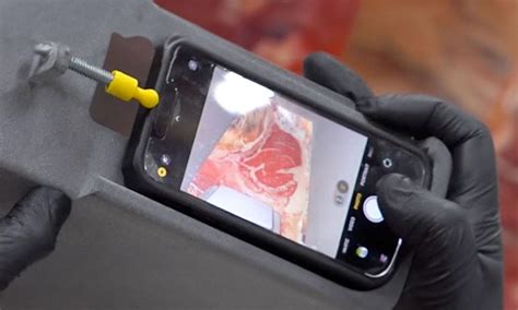 Usda Remote Grading Pilot Program Increasing Marketing Options At