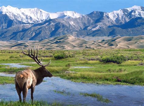 Alamosa Colorado Western National Parks Outdoor Travel Adventure