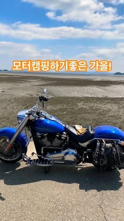 바이크캠핑하기 좋은 가을~~폼 미쳣다쇼츠 할리데이비슨 모터캠핑 캠핑 강화도여행 오토캠핑 노지캠핑 Shorts