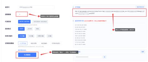 代理如何调用api链接提取ip和使用ip？ 巨量ip代理