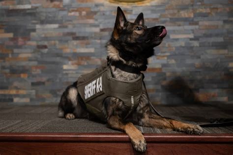Barkmoor Bakery Donates Body Armor To Sheriffs Office K9 Mako El